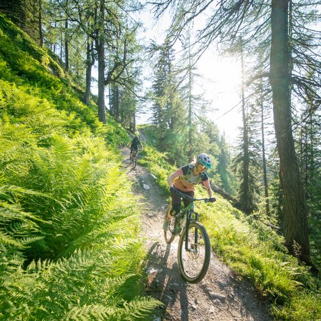 Sommer in Schladming-Dachstein | Steiermark