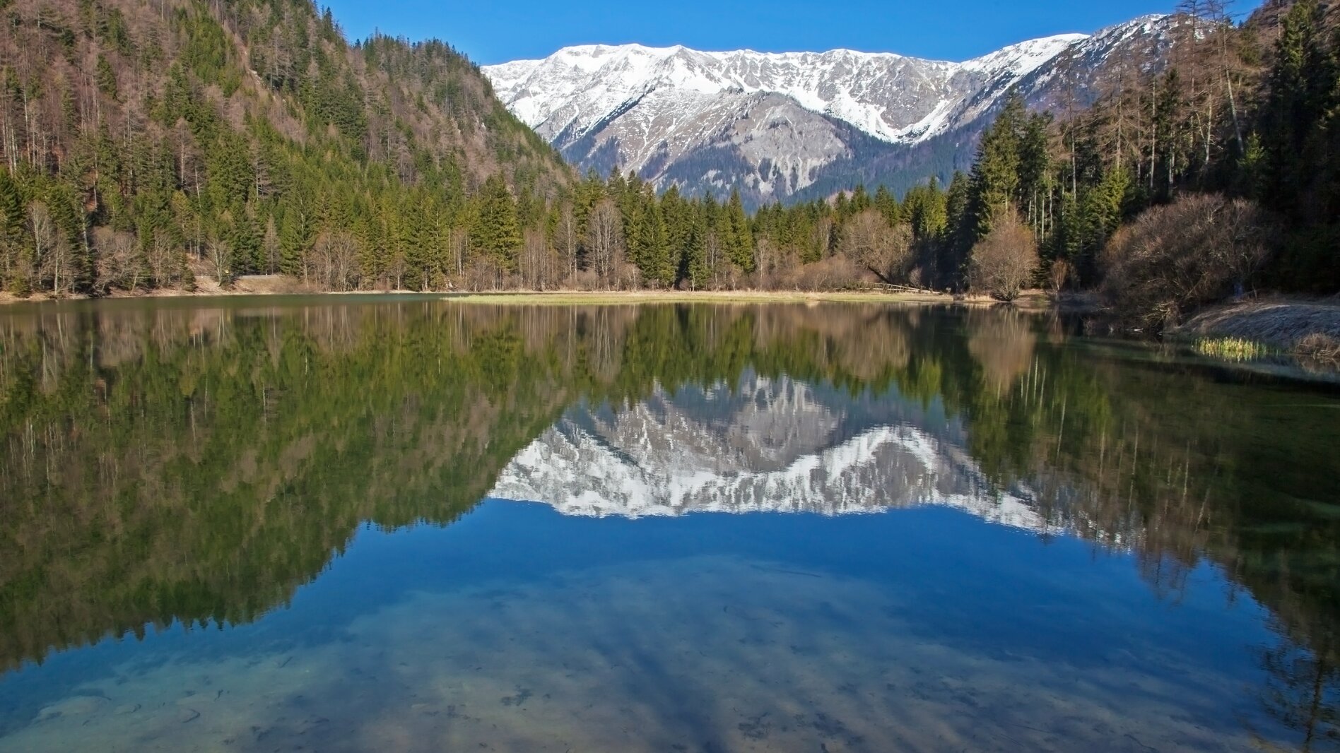 Turnau | steiermark.com