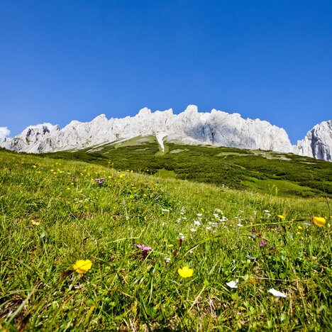 Turnau | steiermark.com