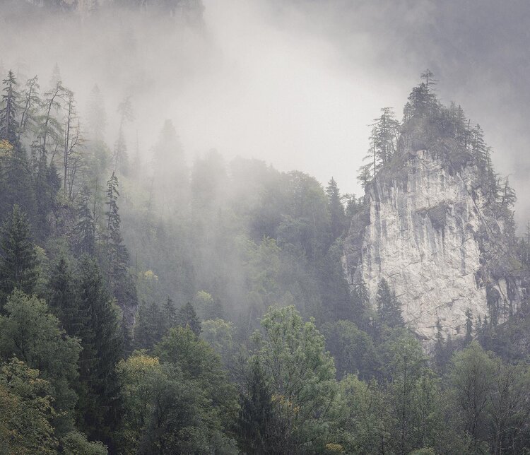 Fotokurs - Herbstbeginn im Nationalpark Gesäuse in Admont
