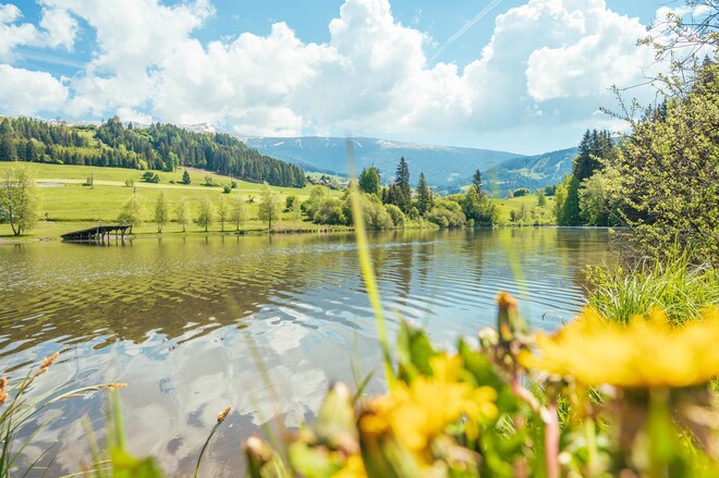 Badeseen in der Steiermark | steiermark.com