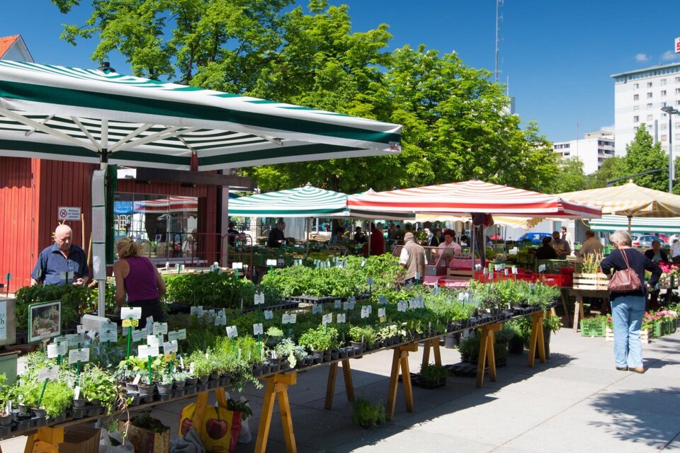 Bauernmarkt am Lendplatz in Graz | Region Graz