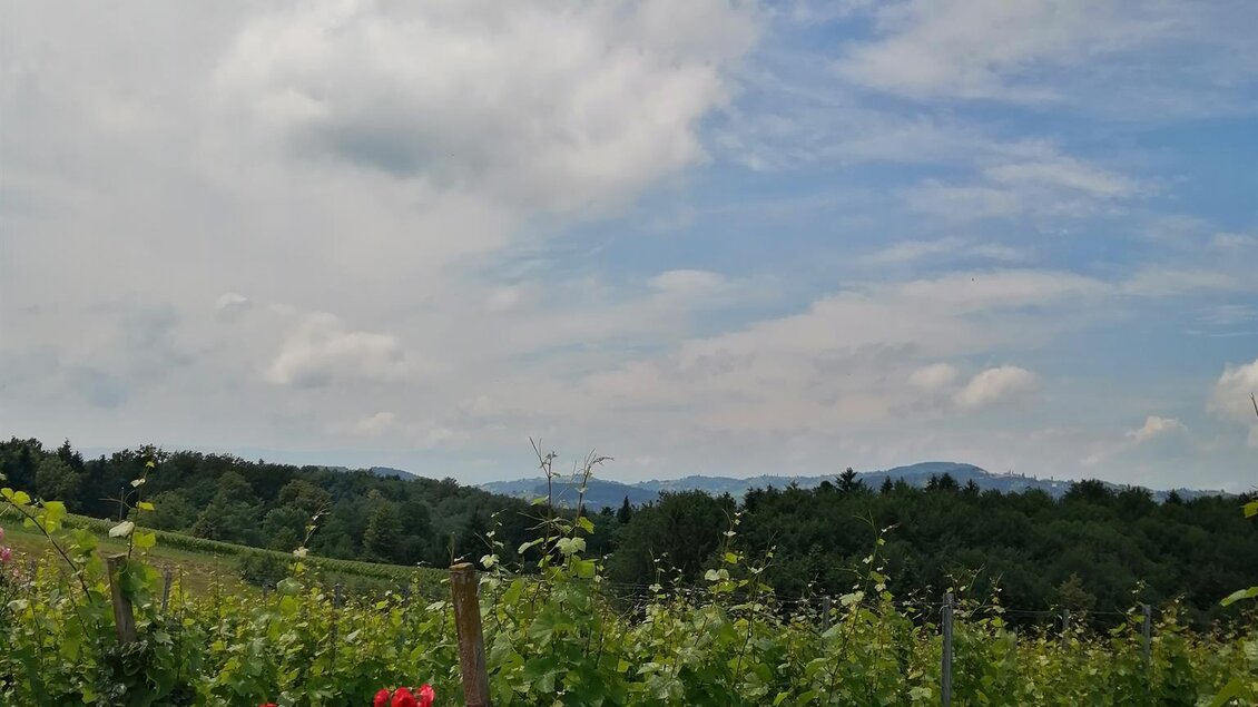 Buschenschank Bernhard in Leibnitz | steiermark.com