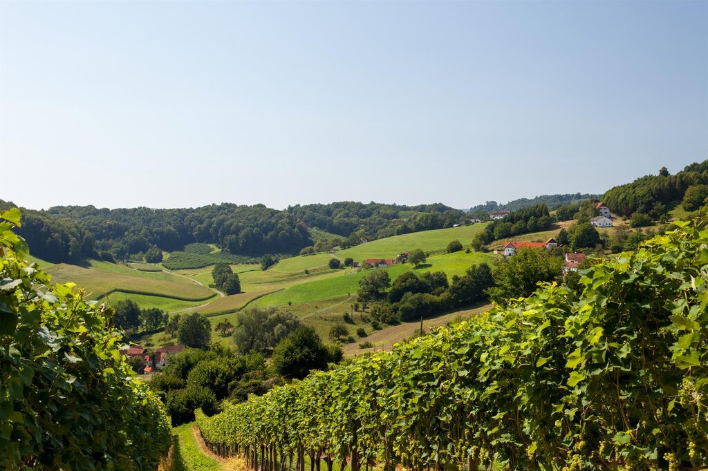 Buschenschank Kuruzzenschenke in Fehring | steiermark.com