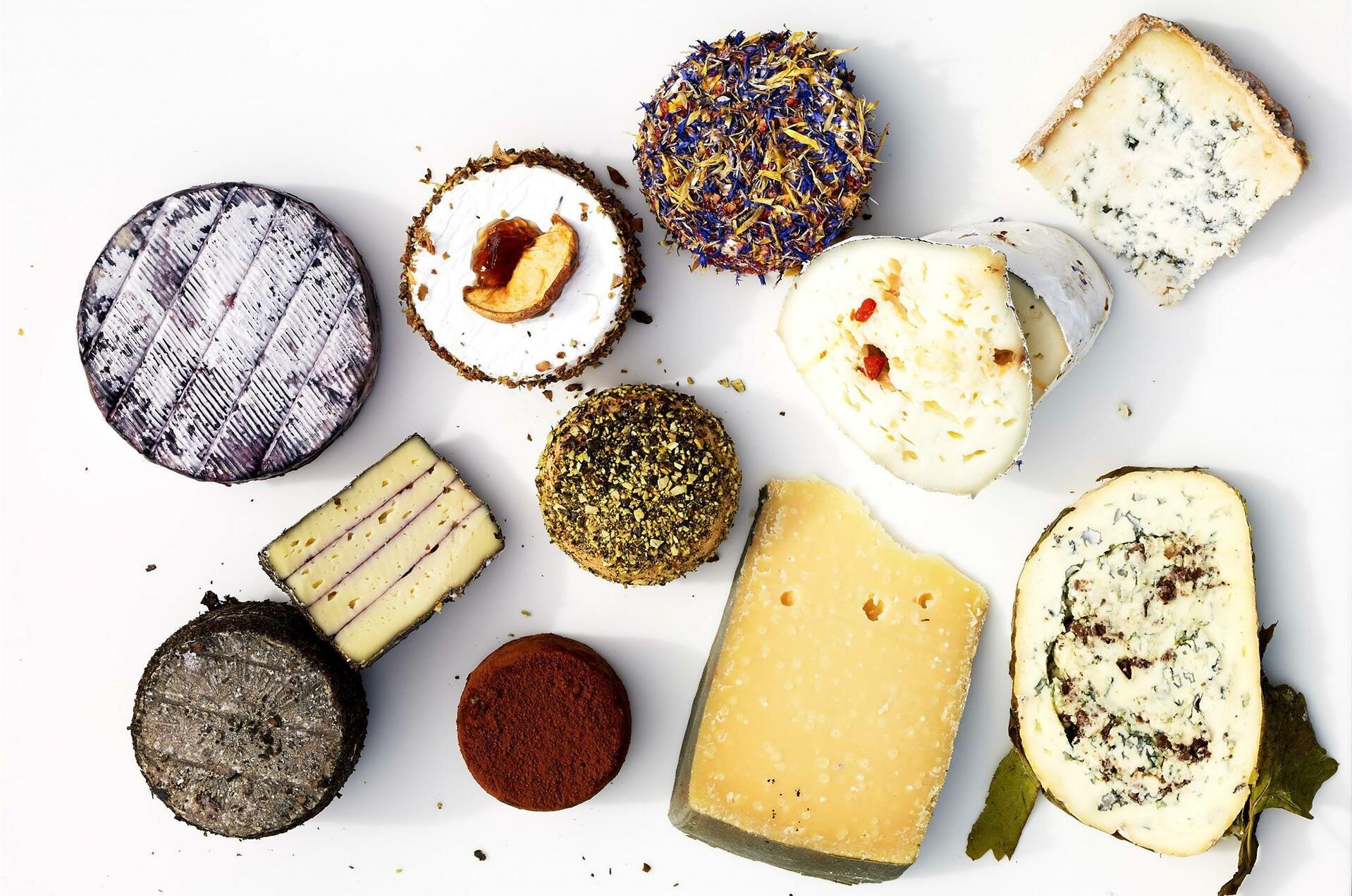 The Cheese Artist - Fromagerie zu Riegersburg in Riegersburg
