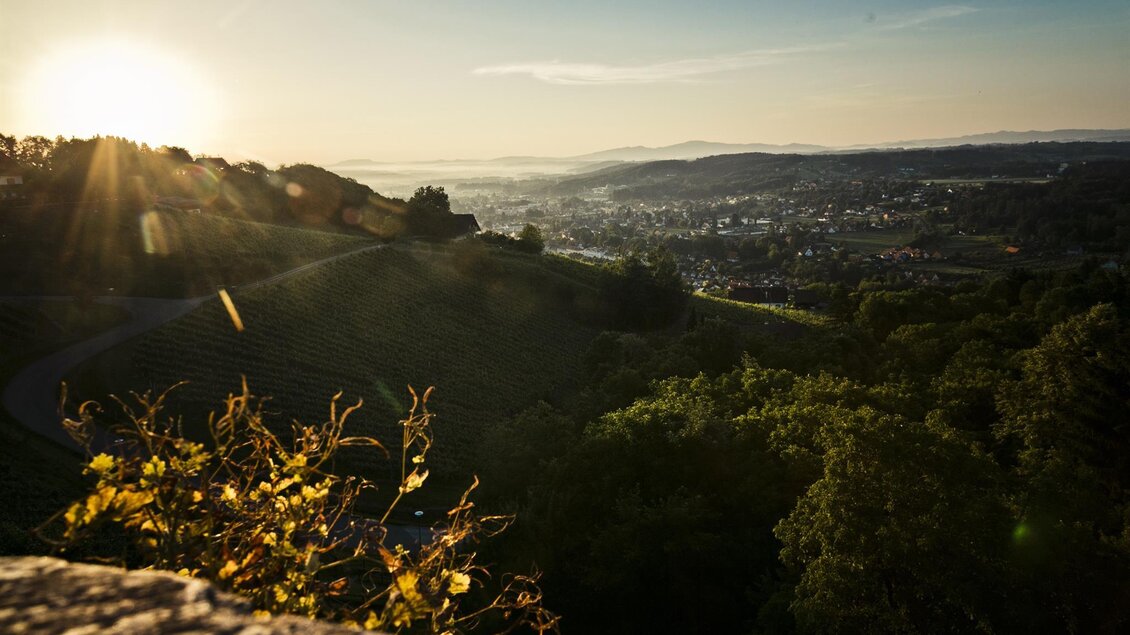 Aussichtspunkt Burg Deutschlandsberg in Deutschlandsberg