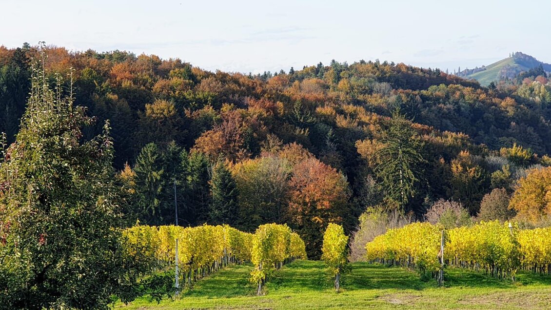 Buschenschank Bernhard in Leibnitz | steiermark.com