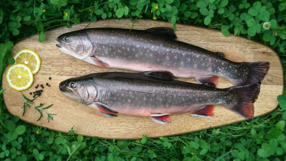 DECLEVA'S ALPENFISCH Mariazell in Mariazell | steiermark.com